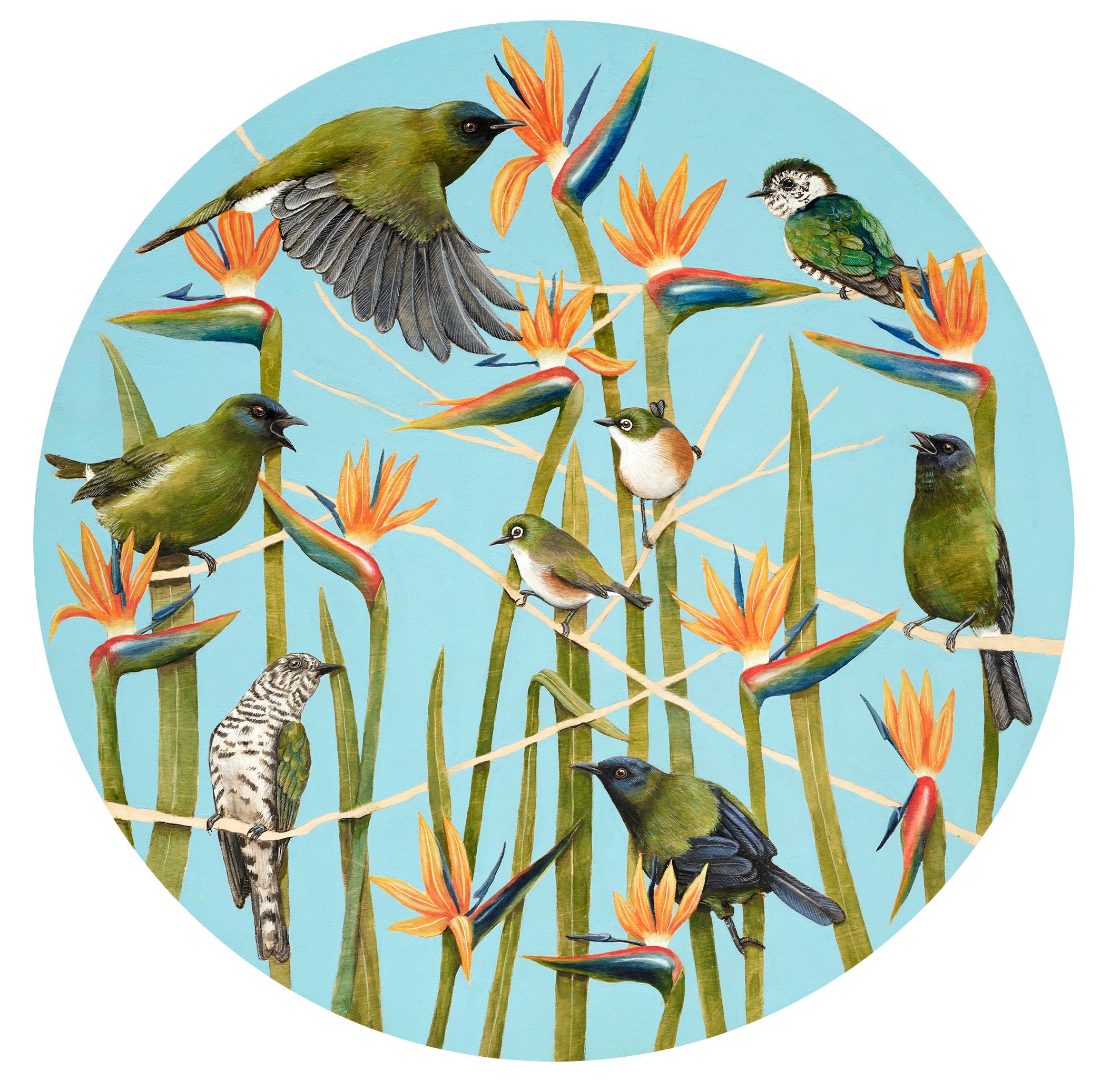 Bec Robertson – St Heliers